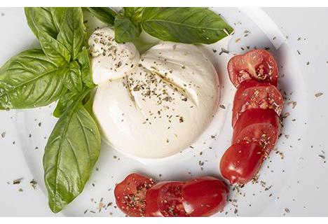 Burrata: properties and where to buy it online