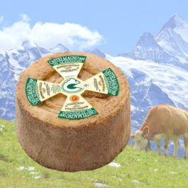 Buy Online Castelmagno alpine cheese PDO.