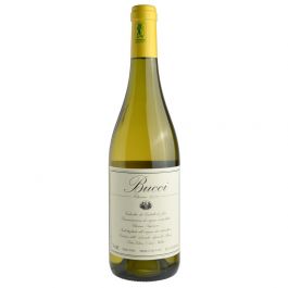 Verdicchio dei Castelli di Jesi DOC Bucci - FOODEXPLORE